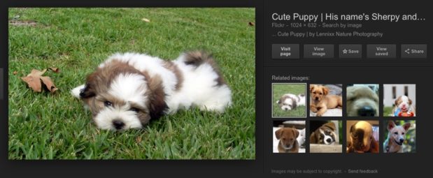 4 ways of finding copyright-friendly media – Innovative Education in ...