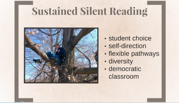 Can sustained silent reading help reluctant readers? – Innovative ...